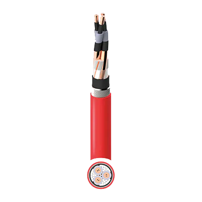 BS6622 Standard Cable